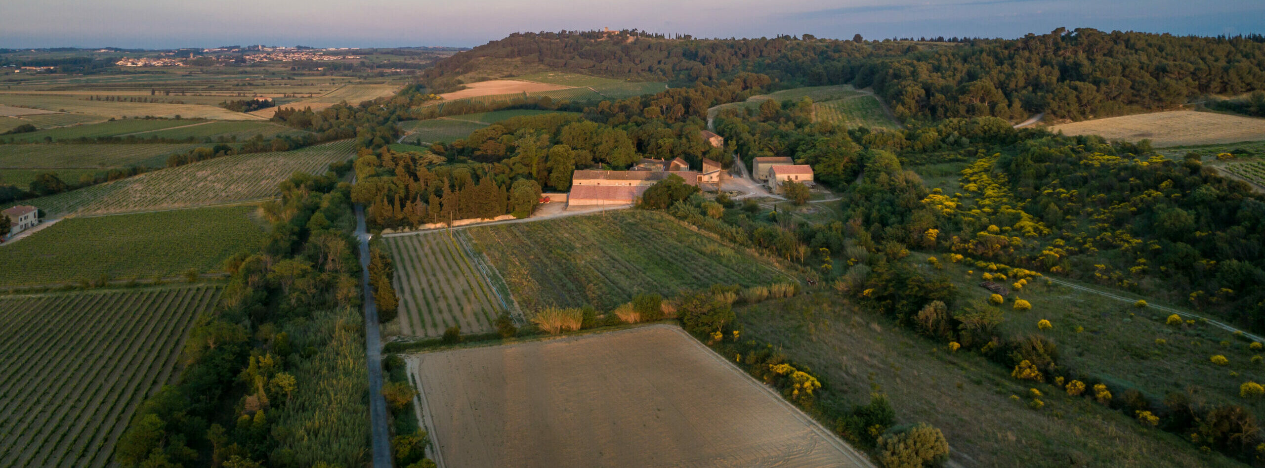 The terroir of Ensérune | Domaine de Soustres Languedoc