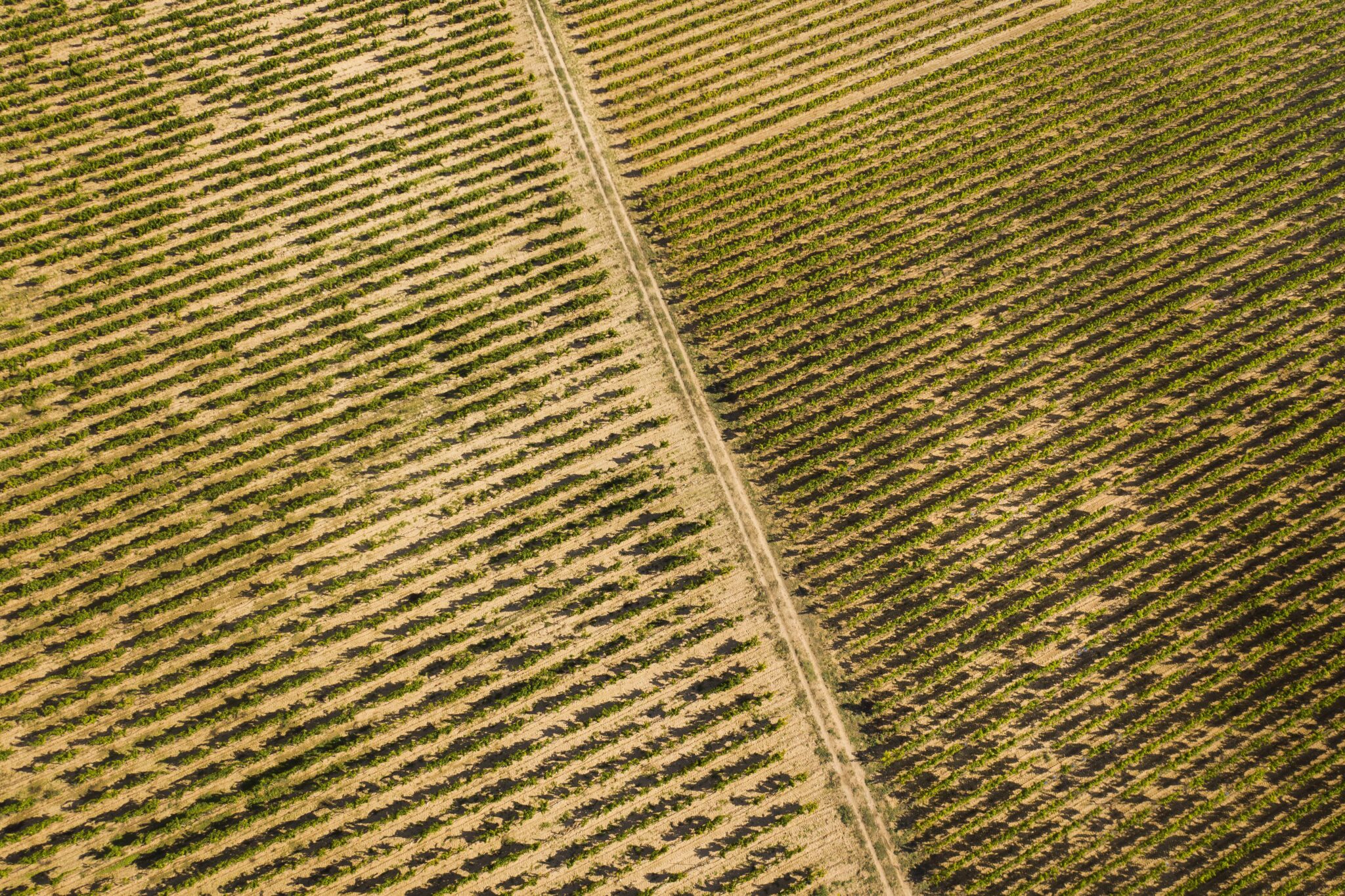 The terroir of Ensérune | Domaine de Soustres Languedoc