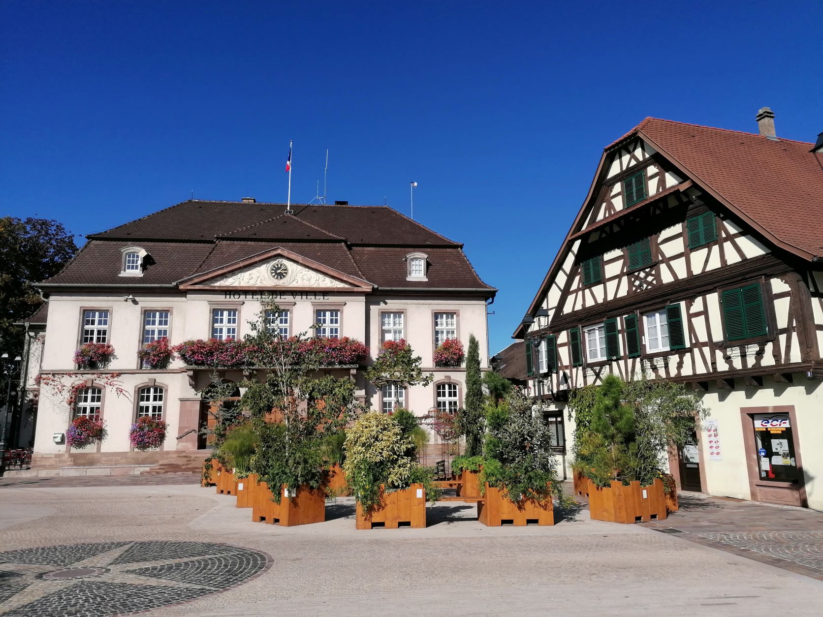 A la découverte d'un trublion ! | Domaine de Soustres